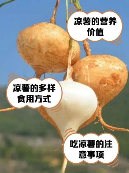 凉薯不能和什么一起吃_凉薯吃多了有什么副作用-第1张图片-山城妙识