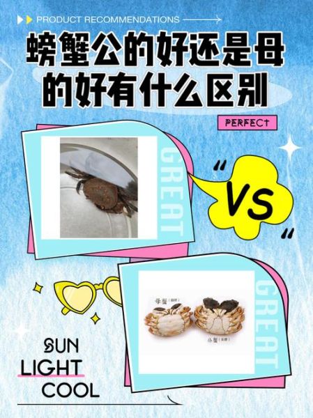 大闸蟹公母怎么区分_大闸蟹公母图片对比-第3张图片-山城妙识