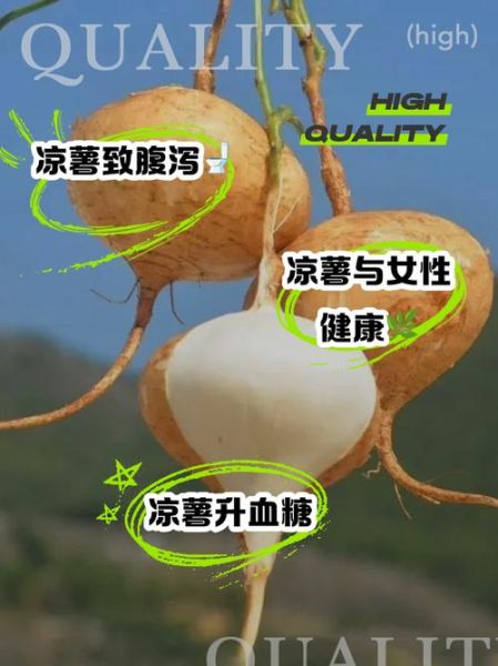 凉薯不能和什么一起吃_凉薯吃多了有什么副作用-第3张图片-山城妙识