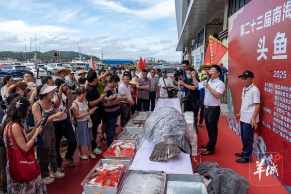 头鱼拍卖规则_头鱼拍卖成交价是多少-第3张图片-山城妙识