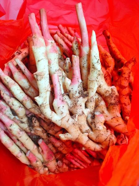 腌姜芽怎么做_腌姜芽的正确做法-第3张图片-山城妙识