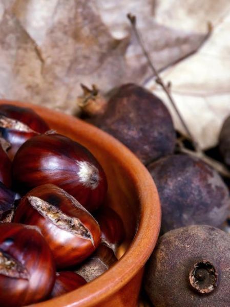 水煮生栗子怎么做好吃_水煮栗子要煮多久-第1张图片-山城妙识