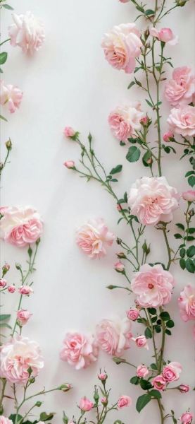 小清新壁纸哪里找_如何挑选不撞款-第2张图片-山城妙识 小清新壁纸哪里找_如何挑选不撞款-第2张图片-山城妙识