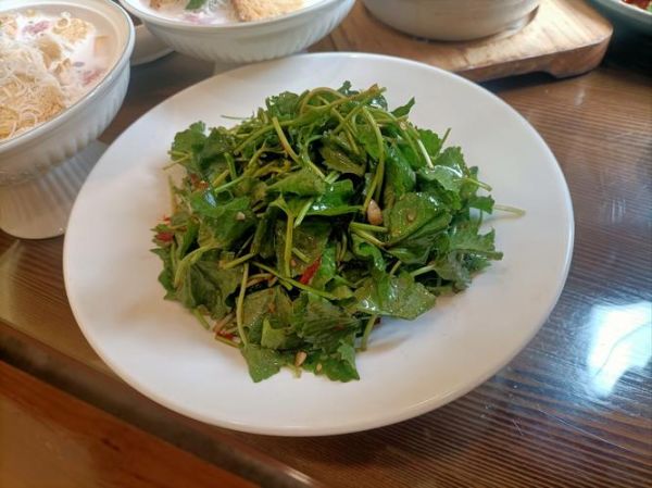 山野菜有哪些种类_常见山野菜怎么吃-第1张图片-山城妙识