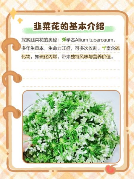 炒韭菜花要把花切掉吗_韭菜花要不要去花-第1张图片-山城妙识