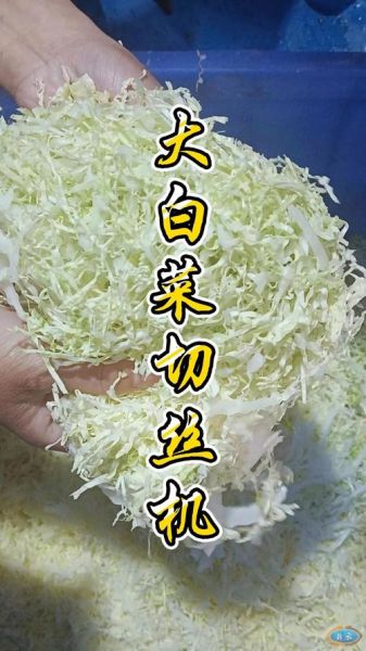 白菜怎么切丝_白菜怎么切块-第1张图片-山城妙识 白菜怎么切丝_白菜怎么切块-第1张图片-山城妙识