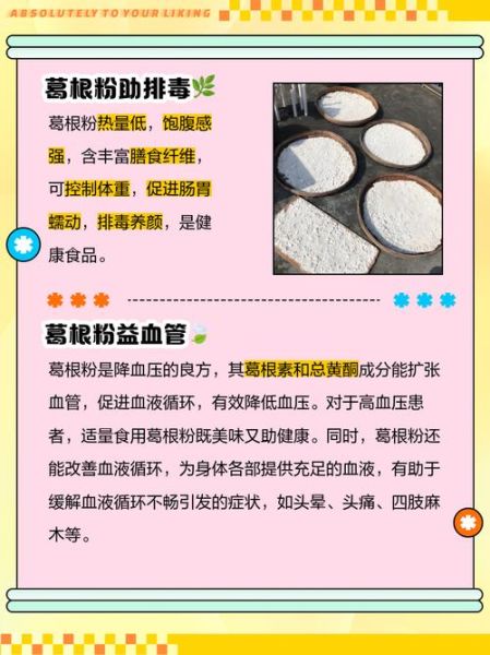 葛根粉有什么药用价值_葛根粉的功效与作用-第3张图片-山城妙识