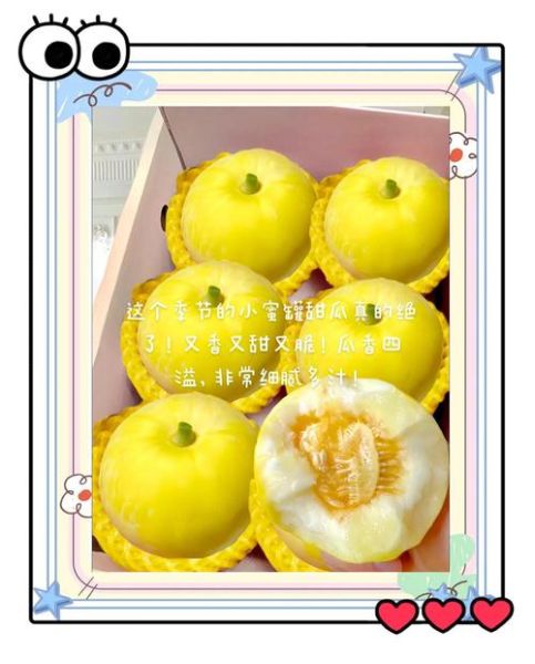 豆芽姐姐手工坊小米甜瓜好吃吗_小米甜瓜做法教程-第1张图片-山城妙识