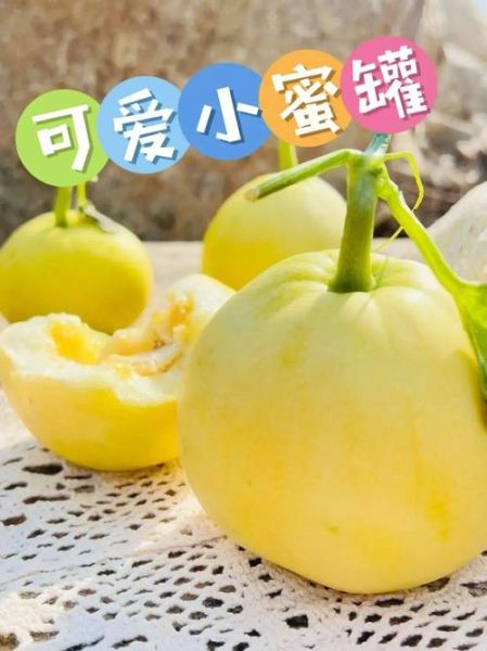 豆芽姐姐手工坊小米甜瓜好吃吗_小米甜瓜做法教程-第3张图片-山城妙识