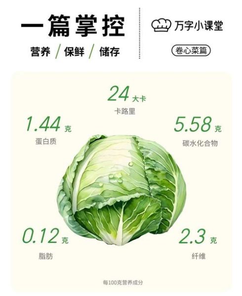 卷心菜有哪几种_卷心菜品种怎么选-第1张图片-山城妙识 卷心菜有哪几种_卷心菜品种怎么选-第1张图片-山城妙识