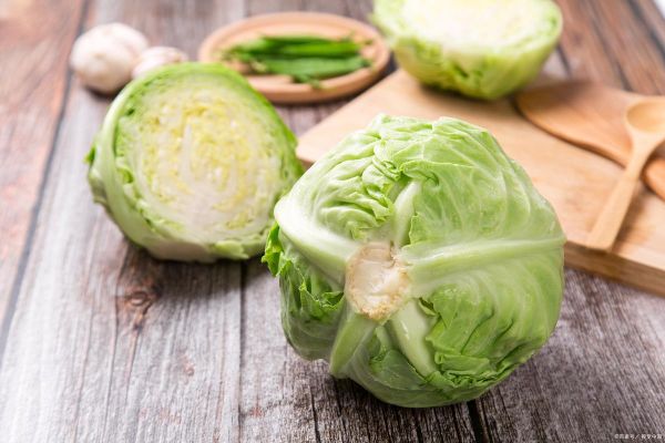 卷心菜有哪几种_卷心菜品种怎么选-第3张图片-山城妙识 卷心菜有哪几种_卷心菜品种怎么选-第3张图片-山城妙识