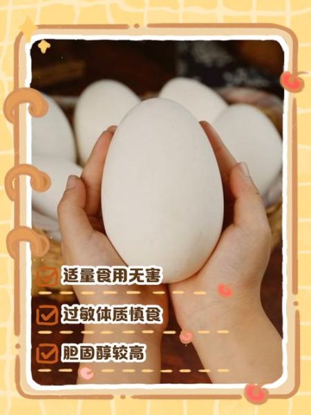 孕妇吃鹅蛋多久吃一个_孕妇吃鹅蛋的最佳频率-第2张图片-山城妙识