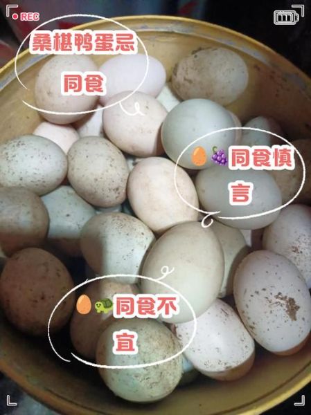 鹅蛋不能和什么一起吃_鹅蛋相克食物有哪些-第3张图片-山城妙识