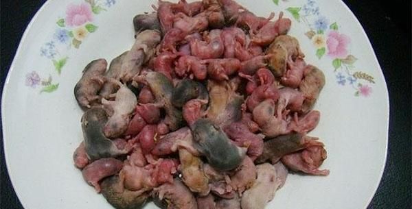 中国十大禁菜婴儿汤_是真的吗-第3张图片-山城妙识