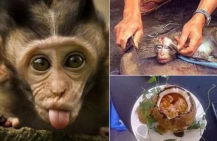 中国十大禁菜婴儿汤_是真的吗-第2张图片-山城妙识