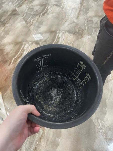 电饭煲内胆涂层有毒吗_电饭煲涂层掉了还能用吗-第1张图片-山城妙识