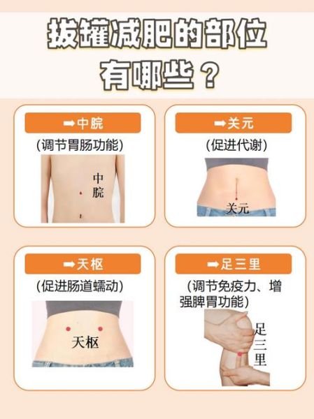 减肥好方法视频教程_如何科学减脂不反弹-第2张图片-山城妙识