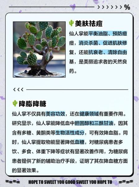 吃仙人掌有什么好处_仙人掌营养价值高吗-第3张图片-山城妙识