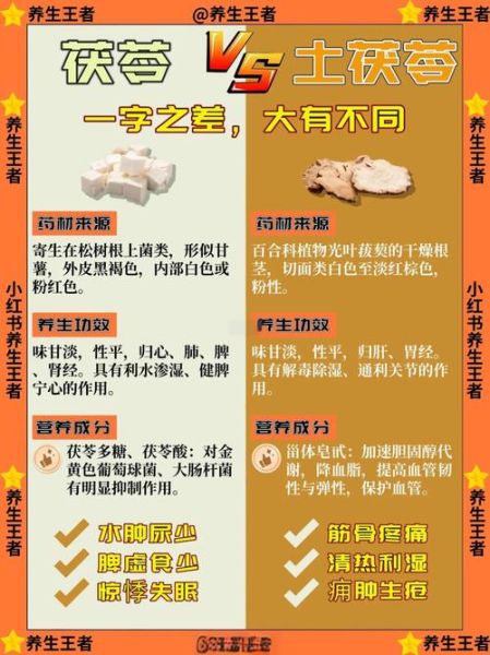 土茯苓和什么搭配最好_土茯苓煲汤最佳配方-第1张图片-山城妙识