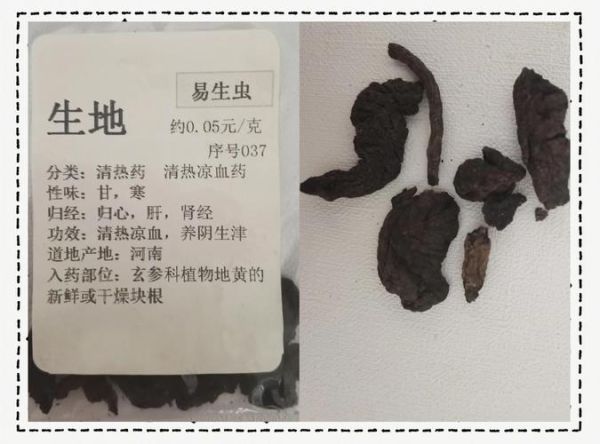 生地与熟地的功效区别_生地和熟地哪个更补血-第2张图片-山城妙识