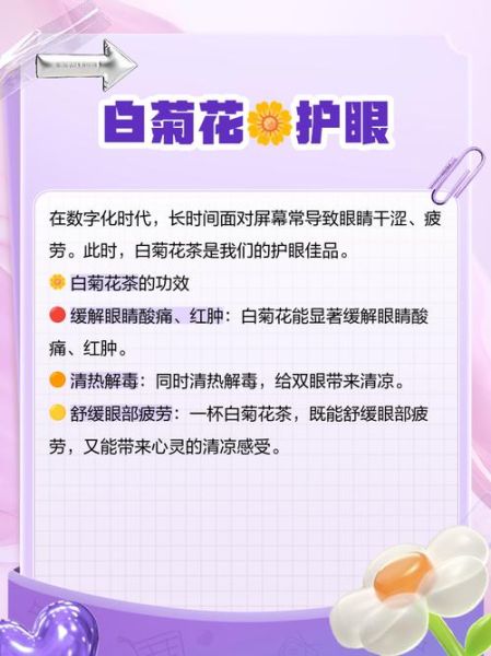白菊花泡水喝的功效_长期喝白菊花水好吗-第2张图片-山城妙识