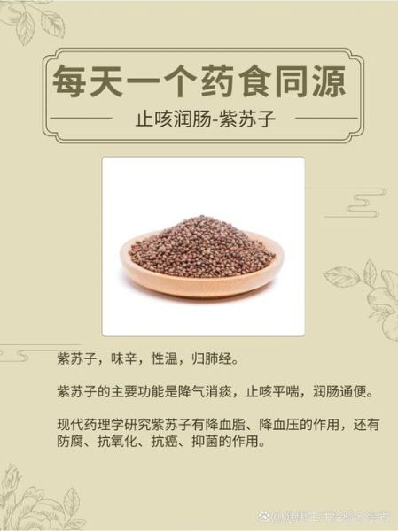 紫苏是什么菜_紫苏怎么吃-第3张图片-山城妙识