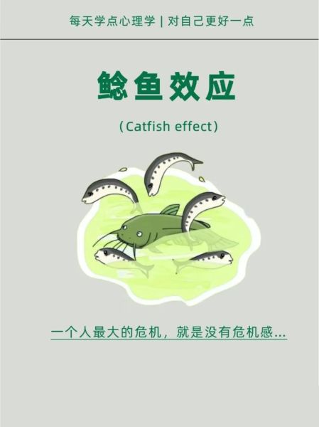 什么是鲢鱼效应_鲢鱼效应的管理原理-第2张图片-山城妙识 什么是鲢鱼效应_鲢鱼效应的管理原理-第2张图片-山城妙识