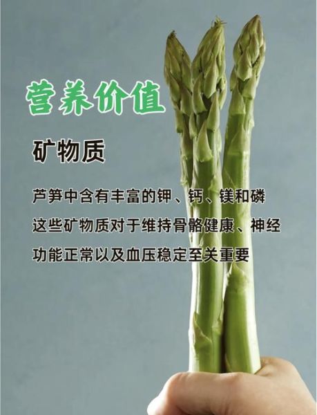 芦笋的营养价值有哪些_芦笋的功效与作用是什么-第1张图片-山城妙识