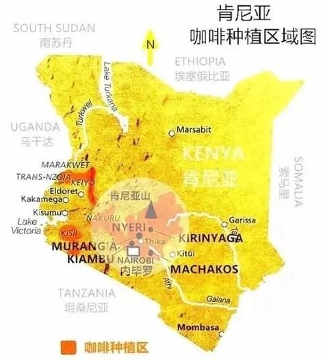 咖啡的故乡是哪里_在哪个洲-第2张图片-山城妙识