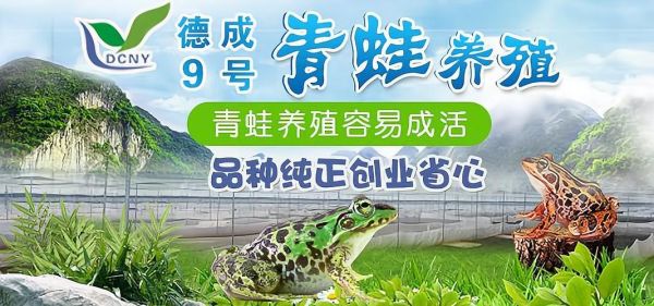 青蛙养殖加盟赚钱吗_青蛙养殖加盟成本多少-第3张图片-山城妙识