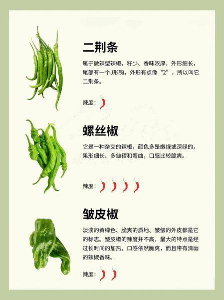 线椒和杭椒有什么区别_哪个更辣-第2张图片-山城妙识