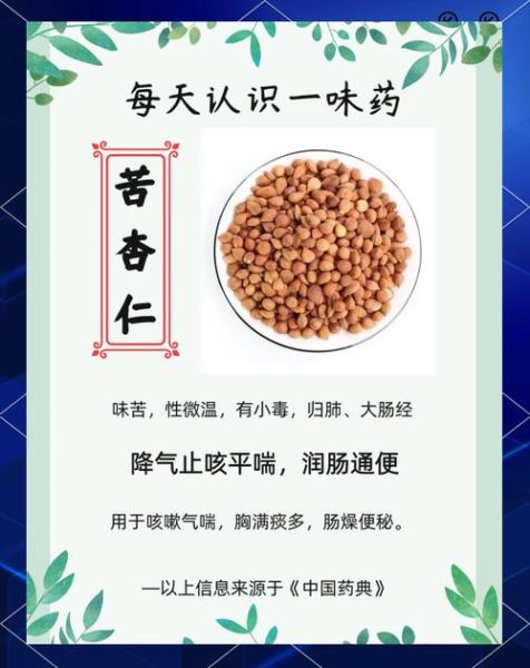 苦杏仁的功效与作用_苦杏仁主治什么病-第2张图片-山城妙识