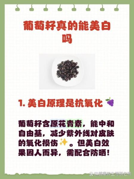 葡萄籽怎么吃最好_葡萄籽粉还是胶囊更有效-第3张图片-山城妙识