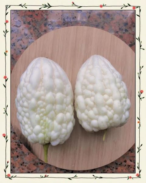 白苦瓜的功效与作用_白苦瓜怎么吃最降火-第1张图片-山城妙识
