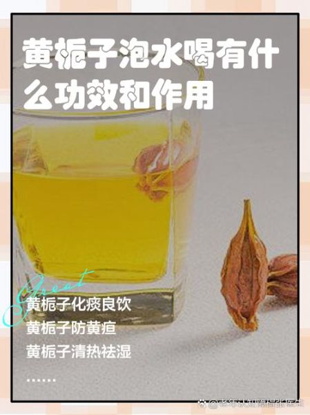 栀子的功效与作用_栀子泡水喝有什么好处-第2张图片-山城妙识