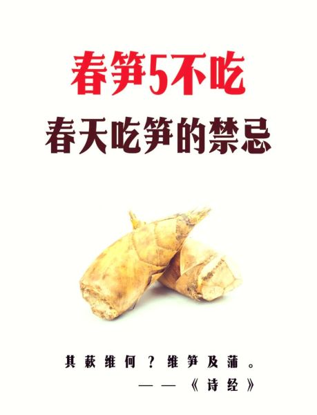 春笋的营养价值及功效与禁忌_春笋什么人不能吃-第1张图片-山城妙识