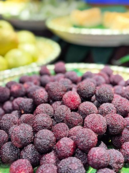 杨梅图片怎么拍_杨梅图片真实吗-第2张图片-山城妙识