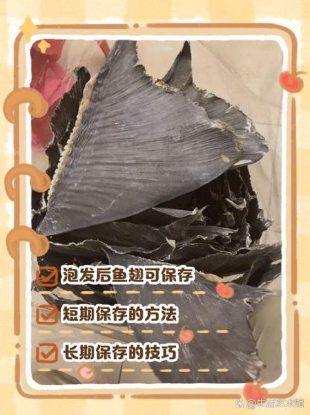 鱼翅最简单的做法_鱼翅怎么发-第1张图片-山城妙识