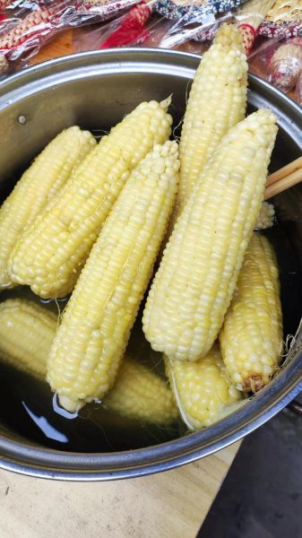 玉米煮多久才软糯_怎么煮玉米才香甜-第1张图片-山城妙识