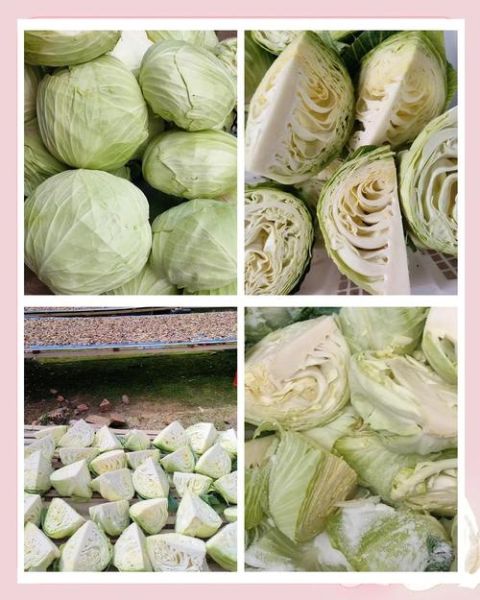 包菜咸菜怎么腌制_包菜咸菜腌制方法-第2张图片-山城妙识