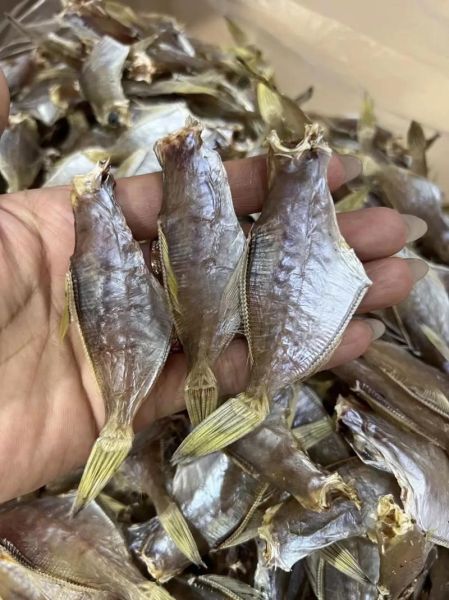 扒皮鱼怎么做好吃_扒皮鱼做法视频教学-第1张图片-山城妙识 扒皮鱼怎么做好吃_扒皮鱼做法视频教学-第1张图片-山城妙识