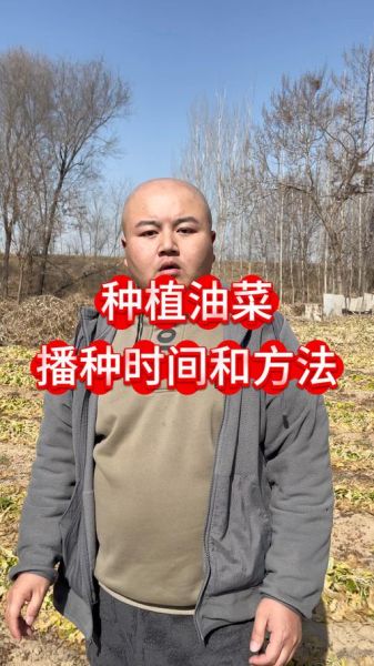 油菜籽什么时候种_油菜籽怎么种-第1张图片-山城妙识