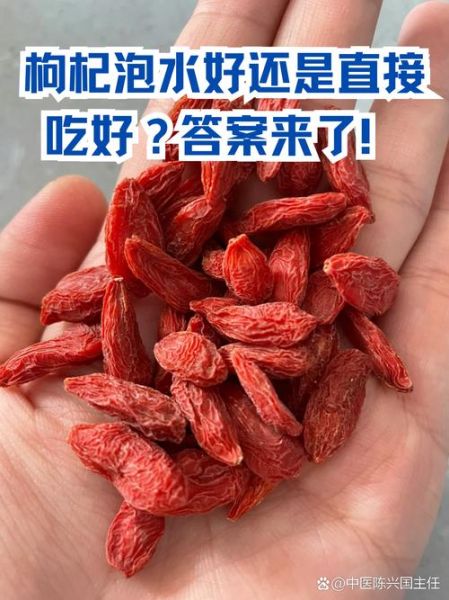 枸杞子怎么吃能补肾_枸杞子补肾的正确吃法-第1张图片-山城妙识