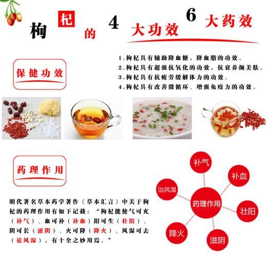枸杞子怎么吃能补肾_枸杞子补肾的正确吃法-第2张图片-山城妙识