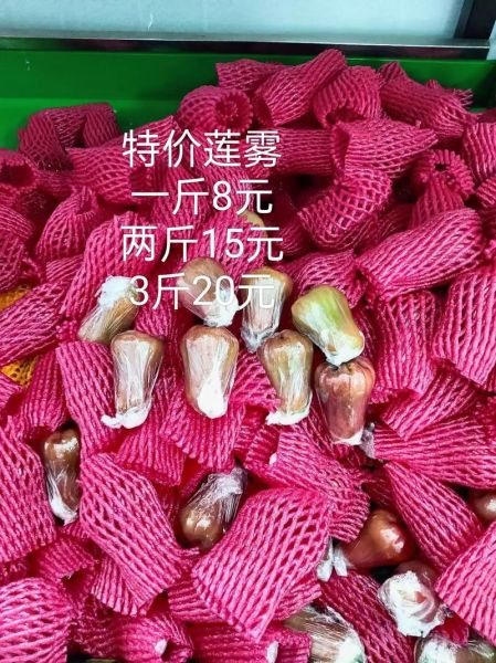 台湾莲雾多少钱一斤_莲雾价格受哪些因素影响-第2张图片-山城妙识