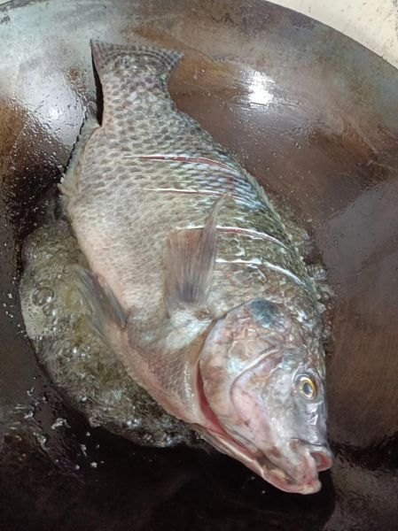 红烧小鱼怎么做才入味_红烧小鱼用哪种鱼最好-第2张图片-山城妙识