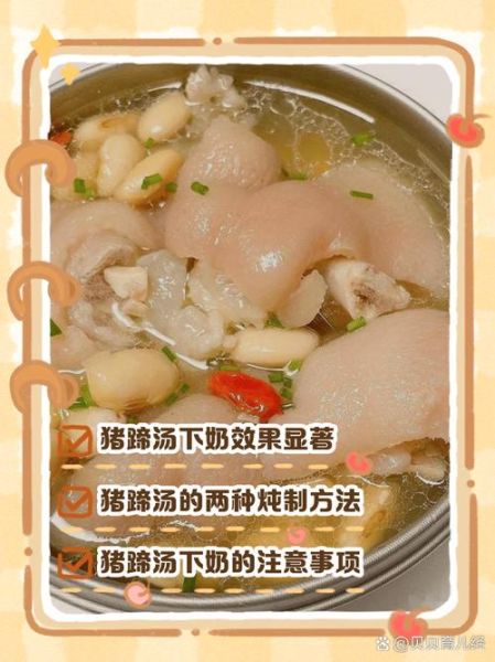 产妇黄豆炖猪蹄的做法下奶_黄豆炖猪蹄下奶多久见效-第2张图片-山城妙识