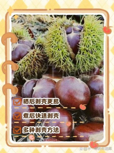 板栗煮多久才好剥壳_怎么煮板栗好剥皮-第2张图片-山城妙识