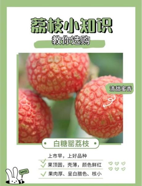 荔枝品种有哪些_常见荔枝品种区别-第2张图片-山城妙识