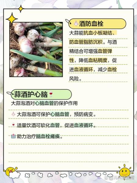 大蒜泡酒怎么泡_大蒜泡酒的功效与禁忌-第1张图片-山城妙识